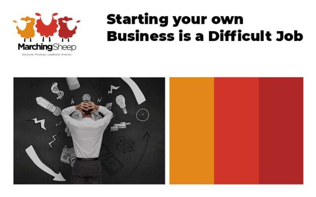Starting your own business is a difficult job – Marching Sheep